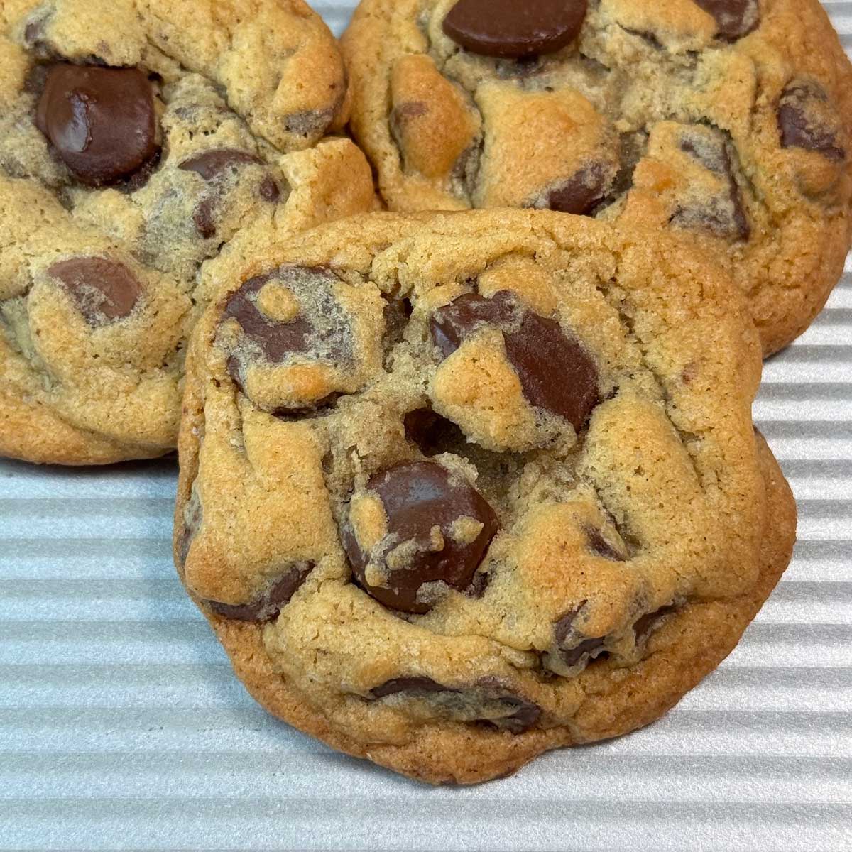 Williams Sonoma Chocolate Chip Cookies - Cookie Madness