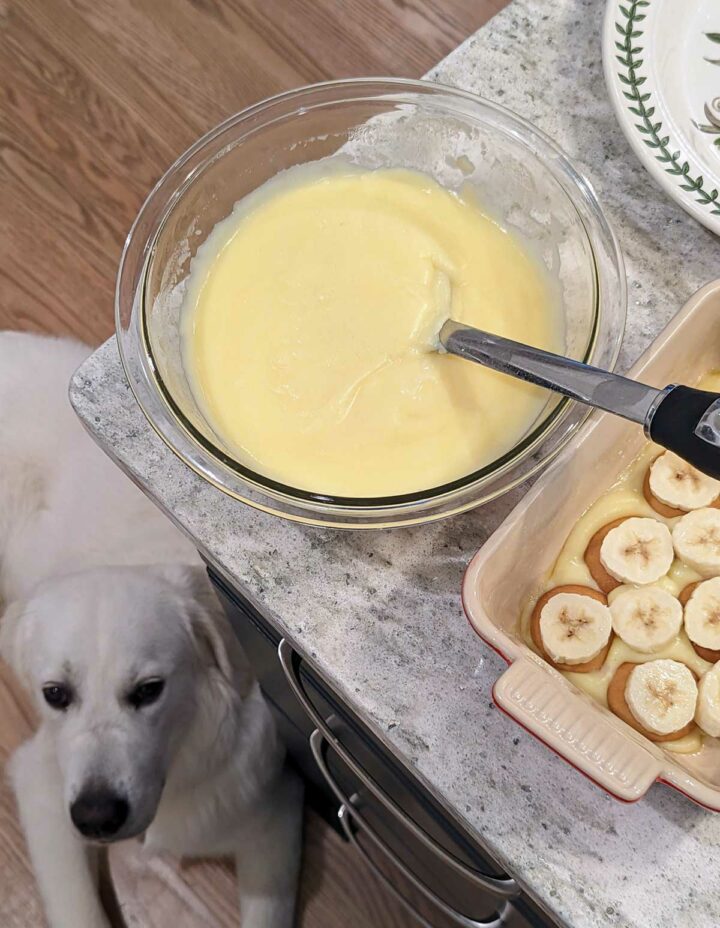 Richard Sax's Banana Pudding - Cookie Madness