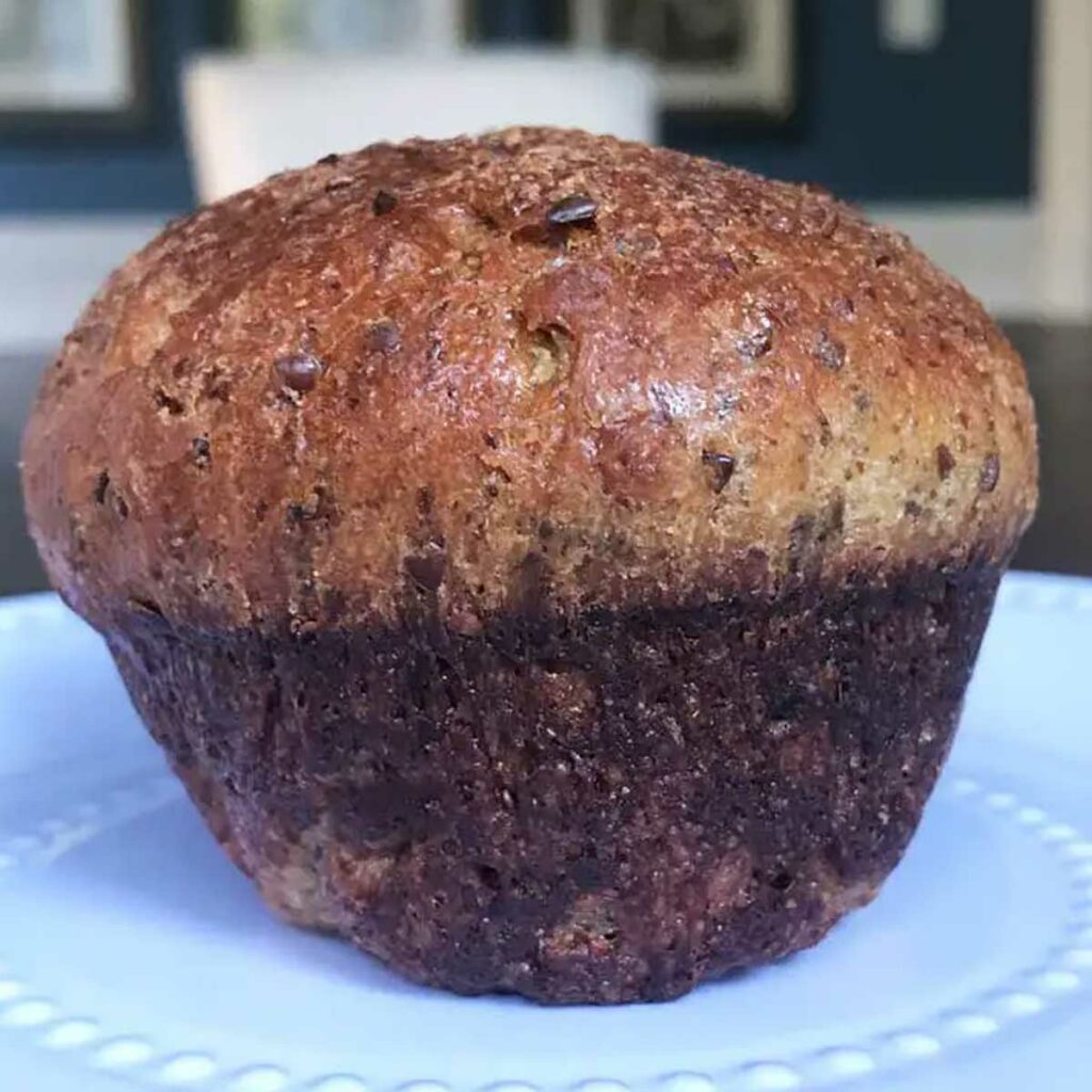 Low Carb Flaxseed Rolls Recipe - Cookie Madness