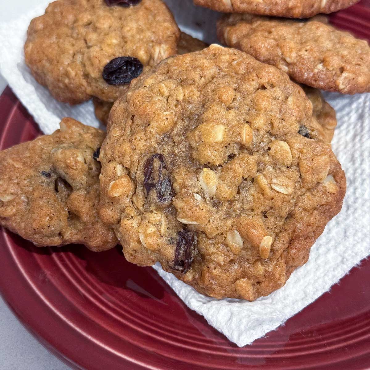 Cape Cod Oatmeal Cookies - Cookie Madness