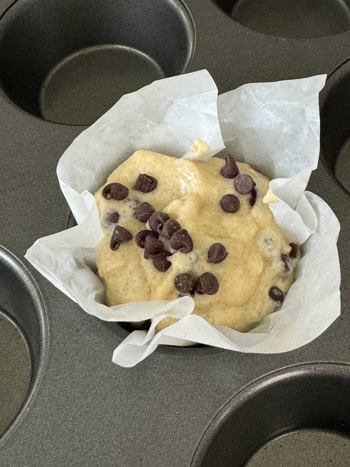 Basic Plain Muffin Recipe - Cookie Madness